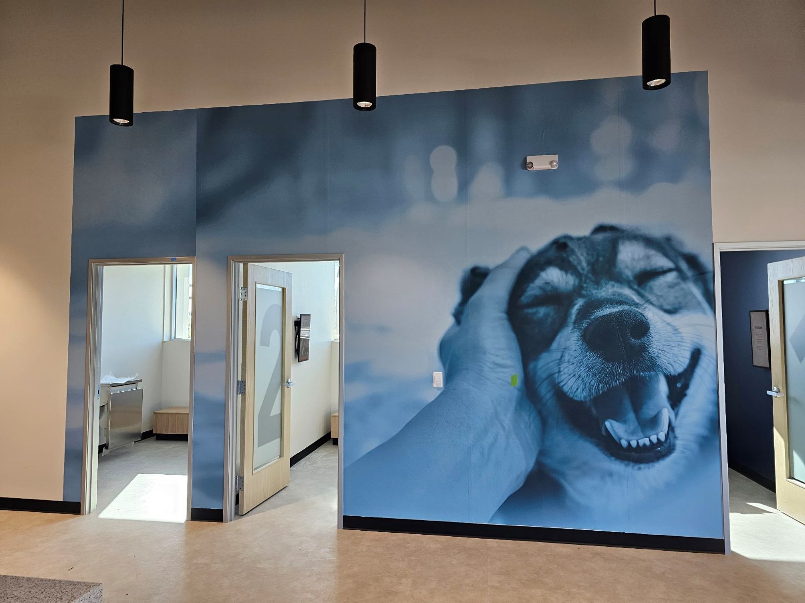 CityVet Expansion: Streamlined Graphics & Signage Success