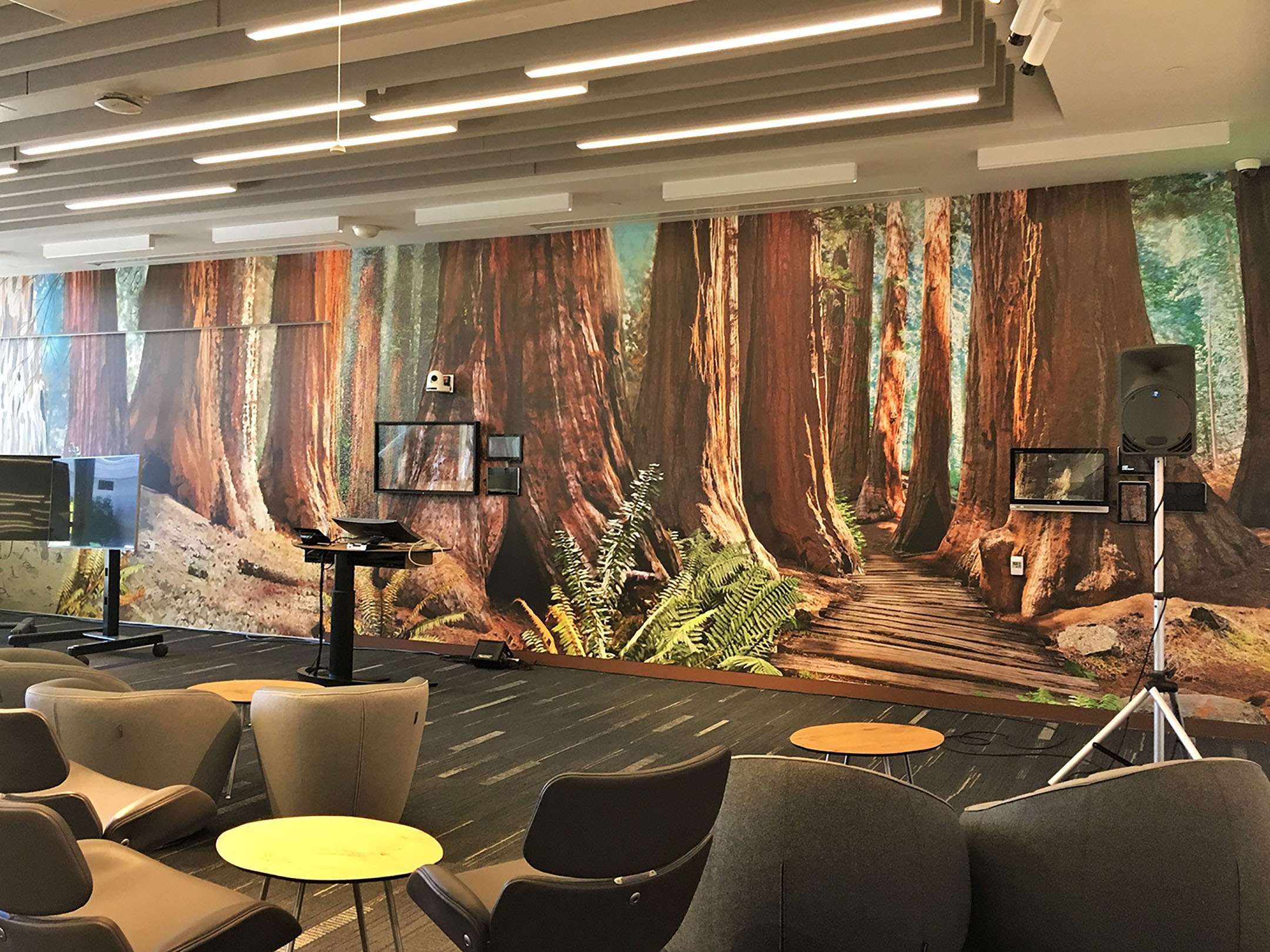 Boost Company Culture Using Immersive Experiential Graphics