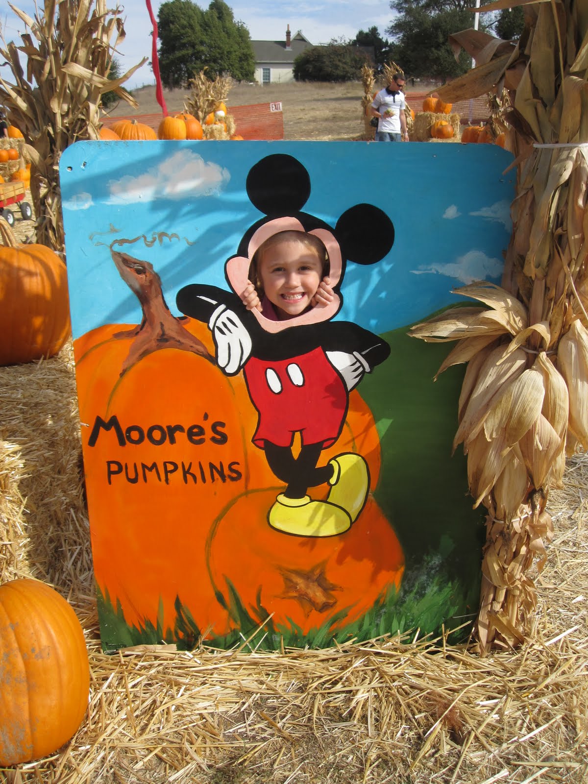 3 Signage Ideas for Pumpkin Patches - SpeedPro East Bay