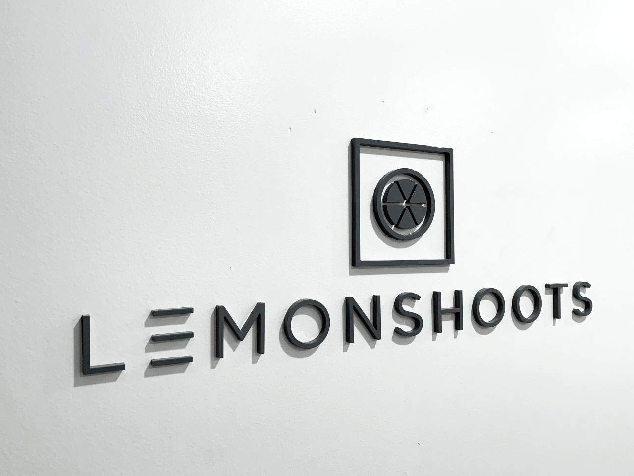 Raised Lettering - SpeedPro East Bay