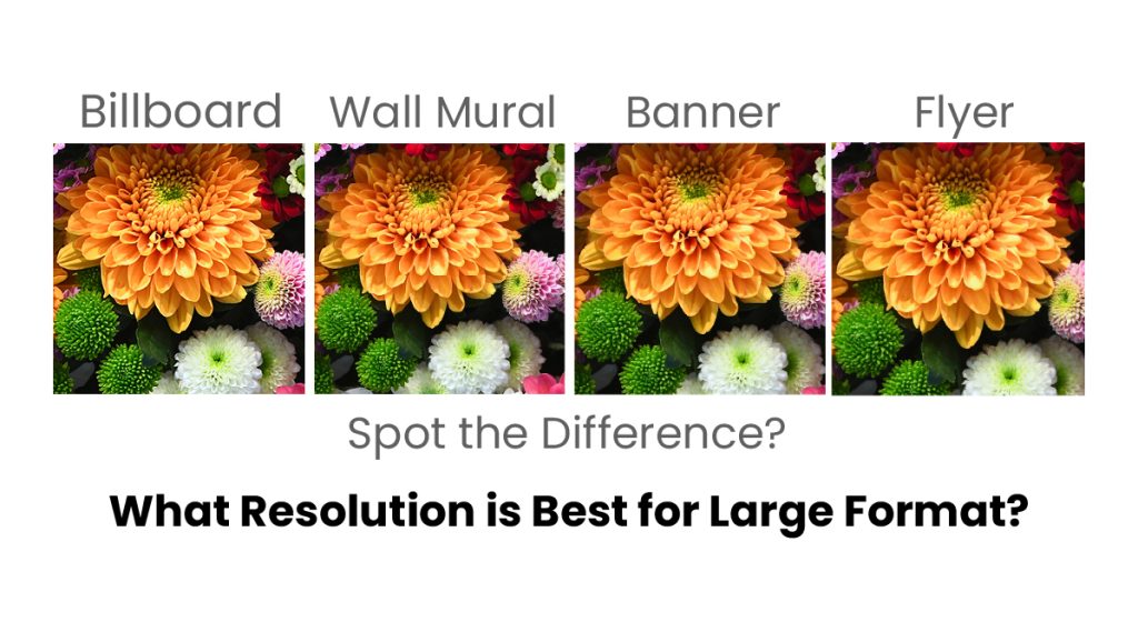 What Resolution is Best for Large Format? - SpeedPro Mesa-Gilbert