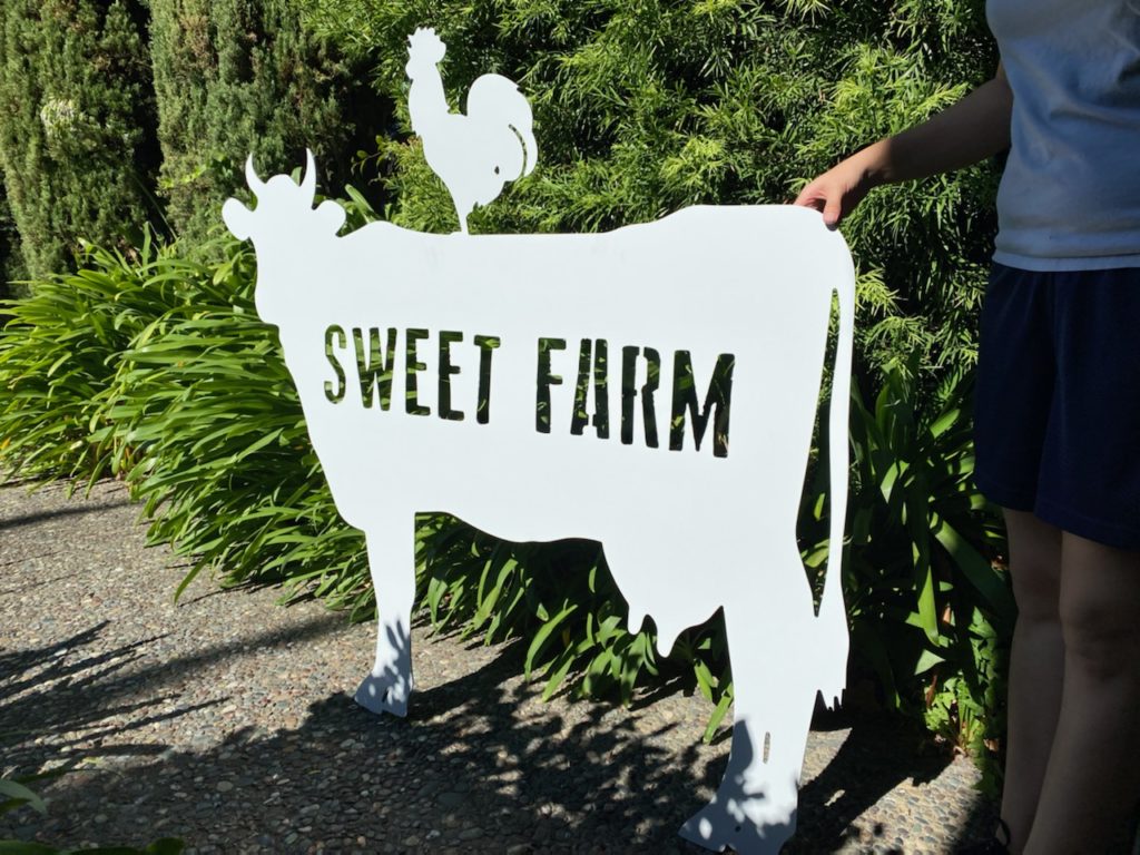 Contour Cut Signage Design & Installation in the SF Peninsula