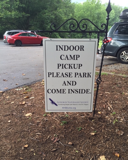 Eye-Catching Outdoor Signage Solutions | SpeedPro