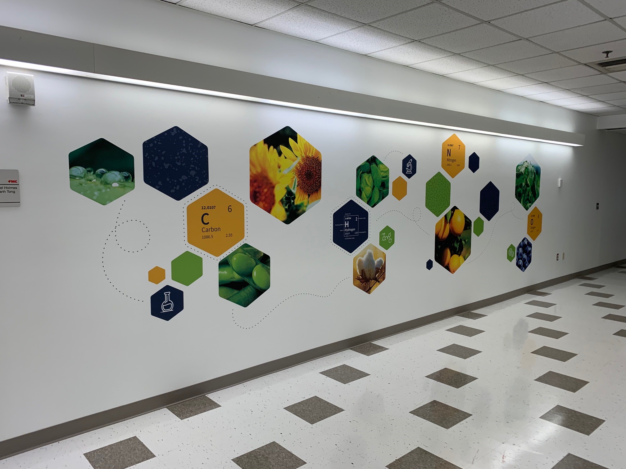 Wall Graphics - SpeedPro Towson