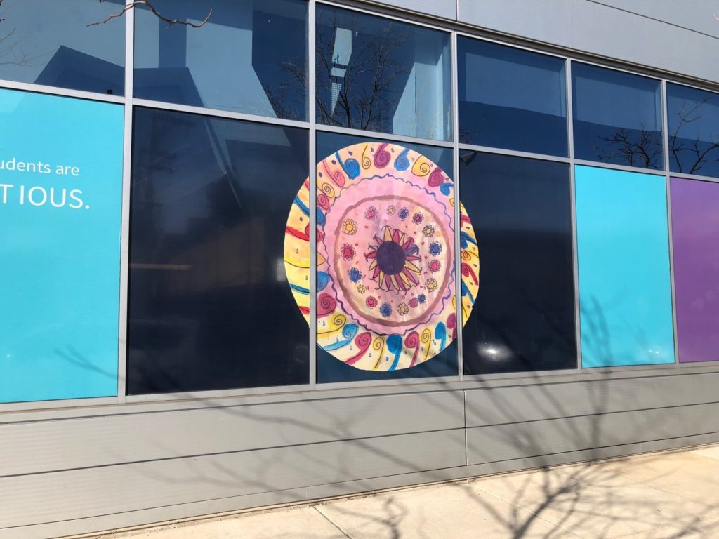 Three Ways Environmental Graphics Enhance Learning Environments | SpeedPro